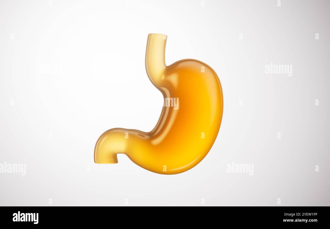 Transparent golden stomach organ, 3d rendering. 3D illustration Stock ...
