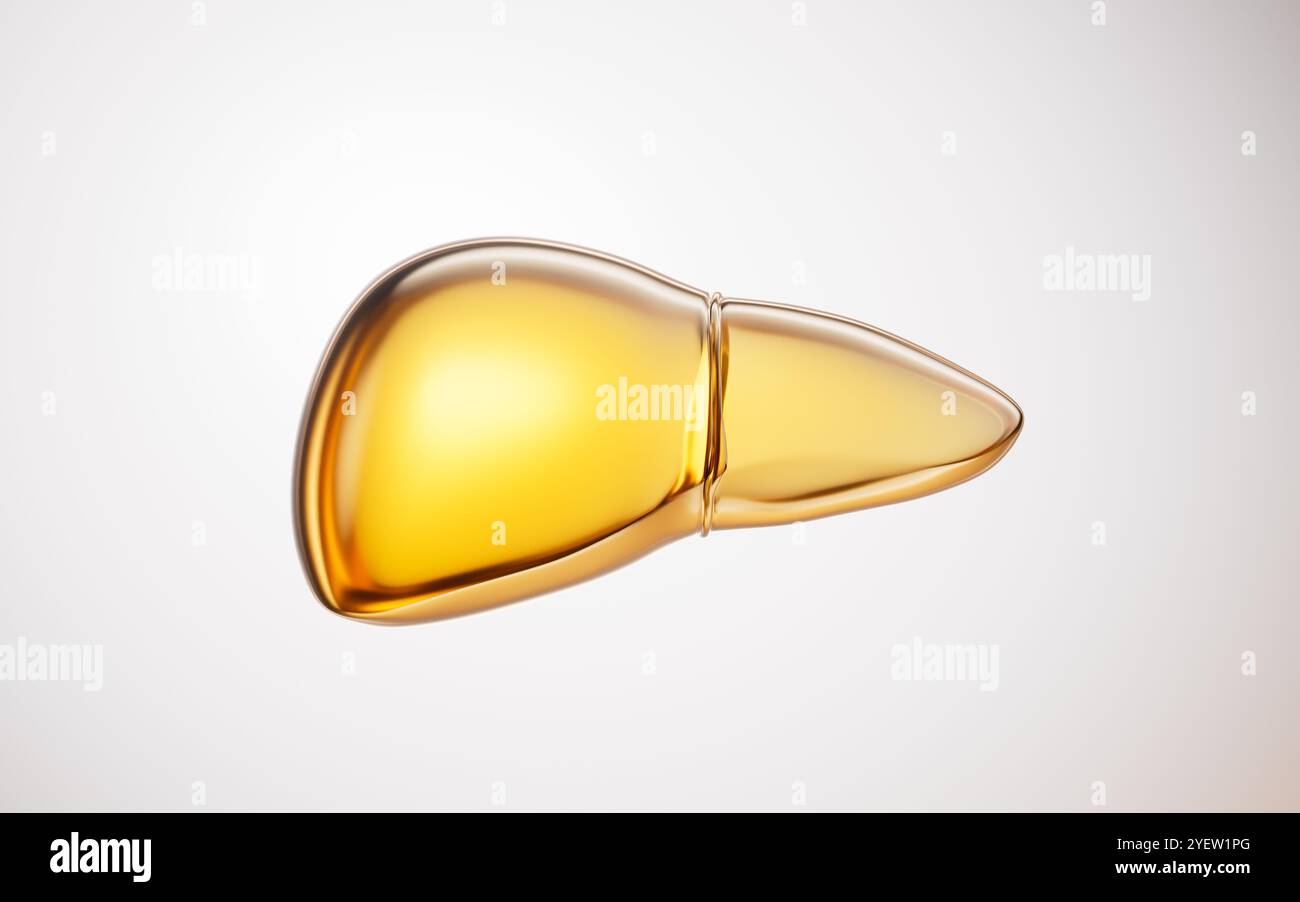 Transparent golden liver organ, 3d rendering. 3D illustration Stock ...