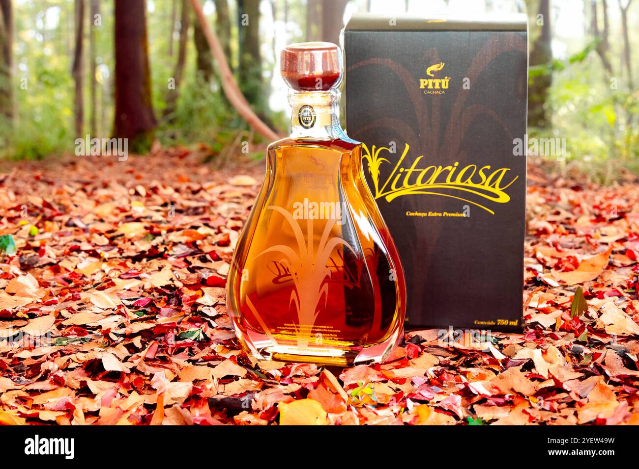 Brazilian cachaça Pitú Vitoriosa extra premium Stock Photo - Alamy