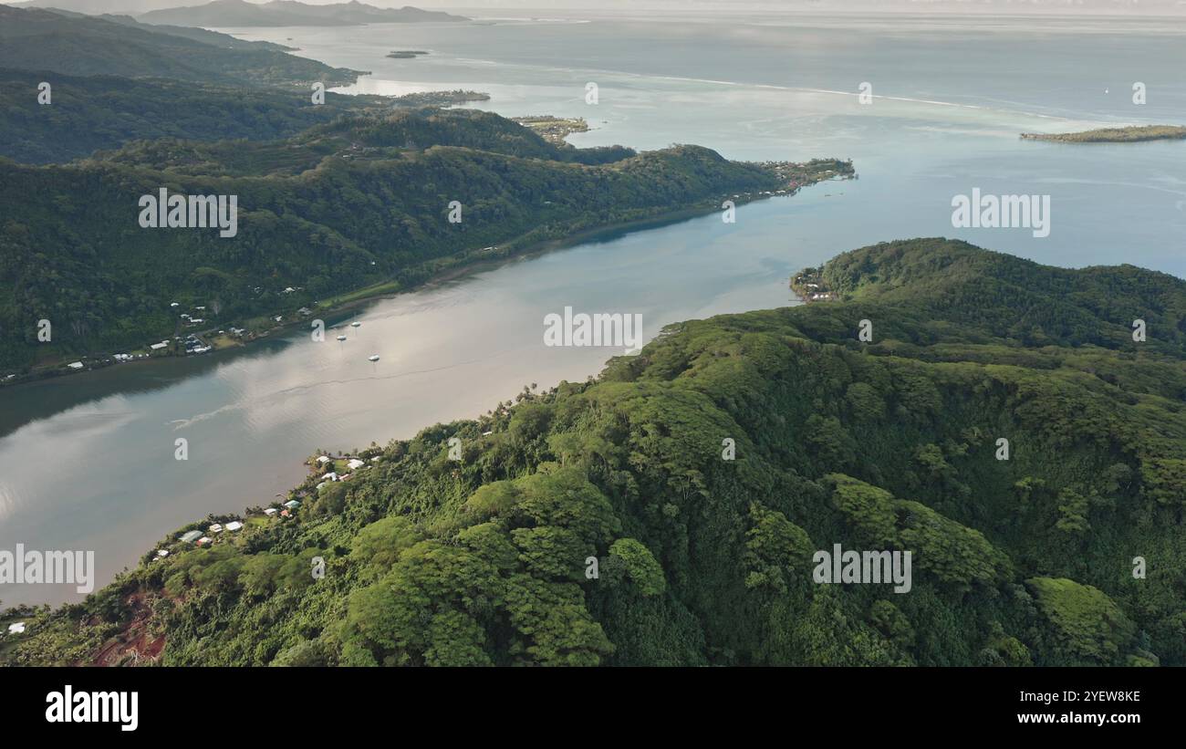 Drone footage forest ocean in hi-res stock photography and images - Alamy