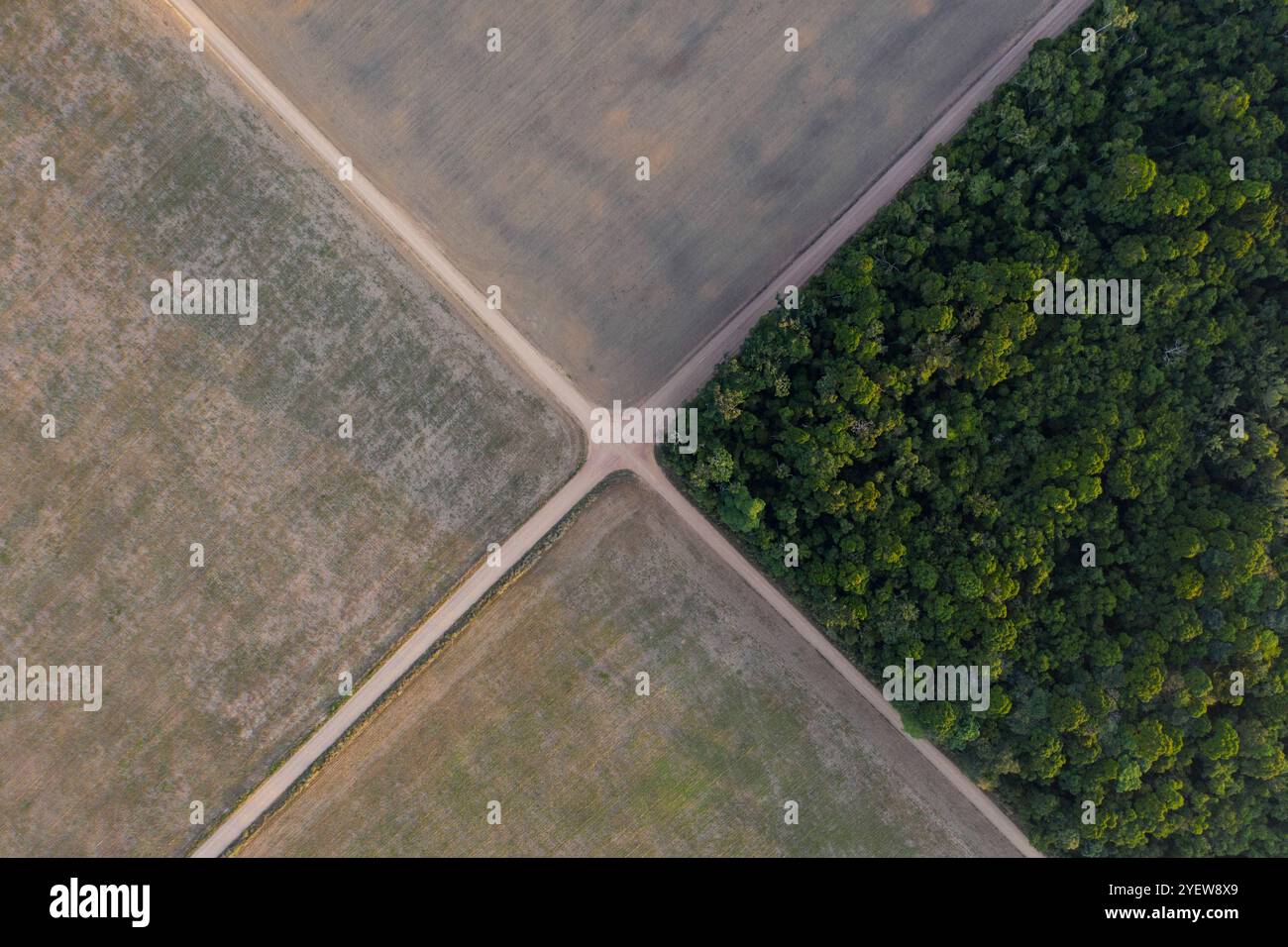 FILE - A section of Amazon rainforest stands next to soy fields in ...