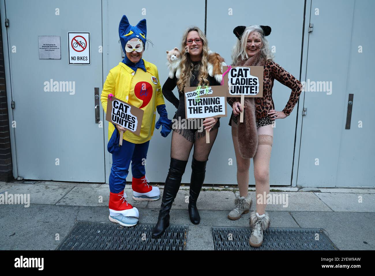 Three women dressed as cats pose for a photo for the New York’s 51st ...