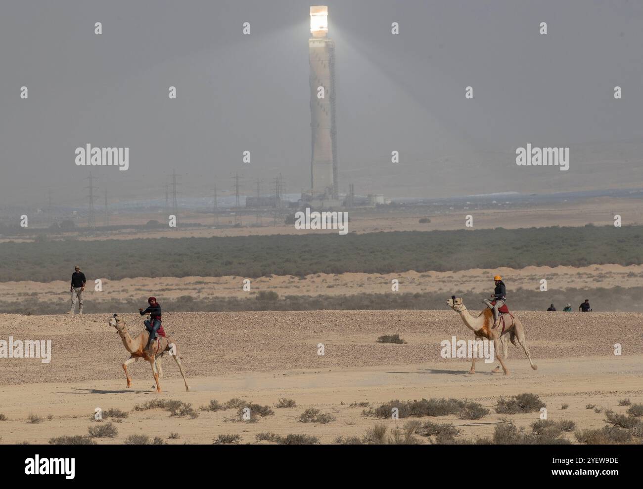 Israeli Bedouins racing their camels in the Negev desert near Ashalim ...