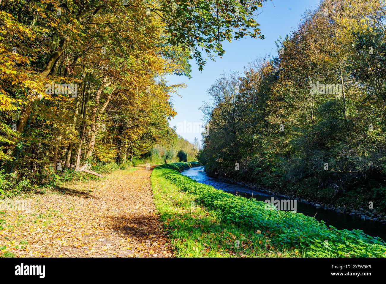 Autumn landscape with path along Wurm river in nature reserve, abundant ...