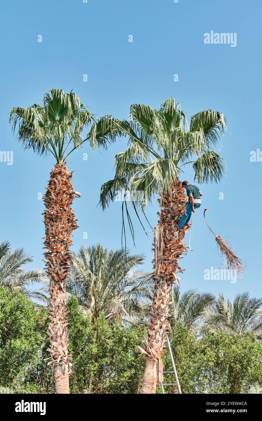 Sharm El Sheikh, Egypt - April 28, 2024: Worker in safety gear on one ...