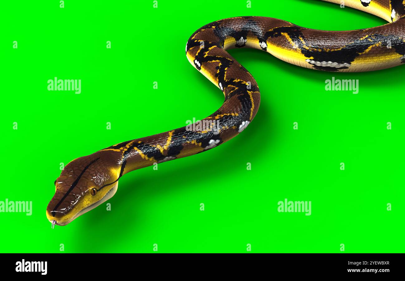 3d Illustration of A Golden Reticulated Python, Boa Constrictor The ...