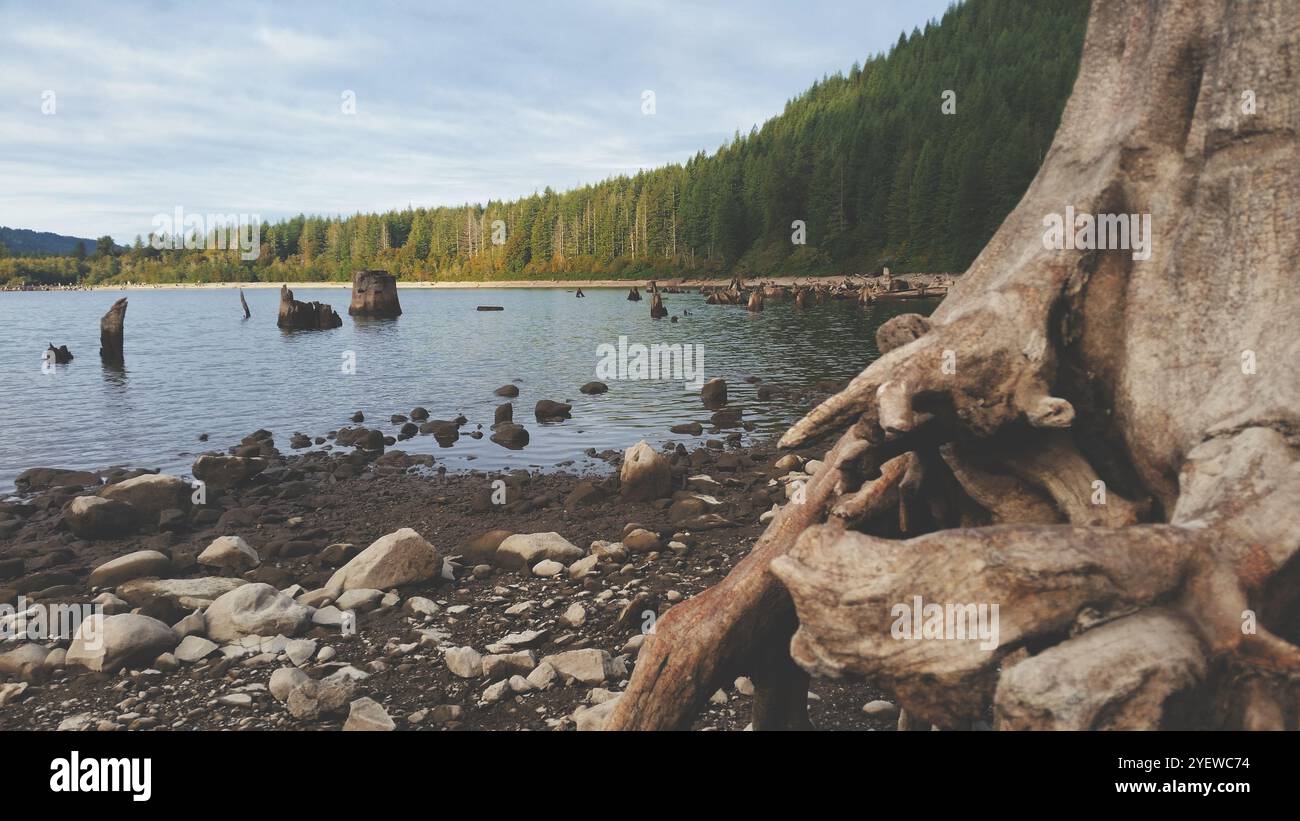 Rattlesnake ledge trail hi-res stock photography and images - Alamy