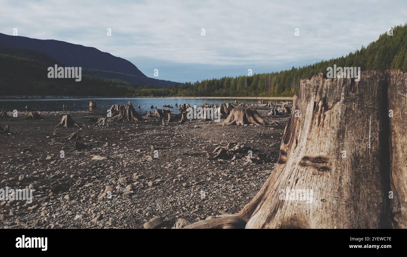 Rattlesnake ledge trail hi-res stock photography and images - Alamy