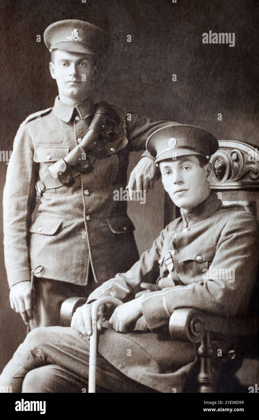 A Royal Artillery gunner alongside a second lieutenant in the Forest ...