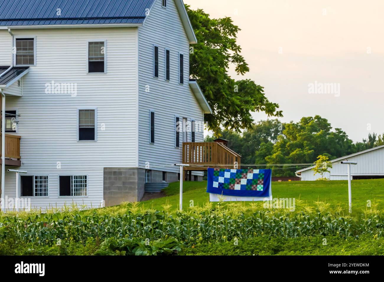 Amish Quilt And Farmhouse In Mecosta County Michigan Usa No Releases