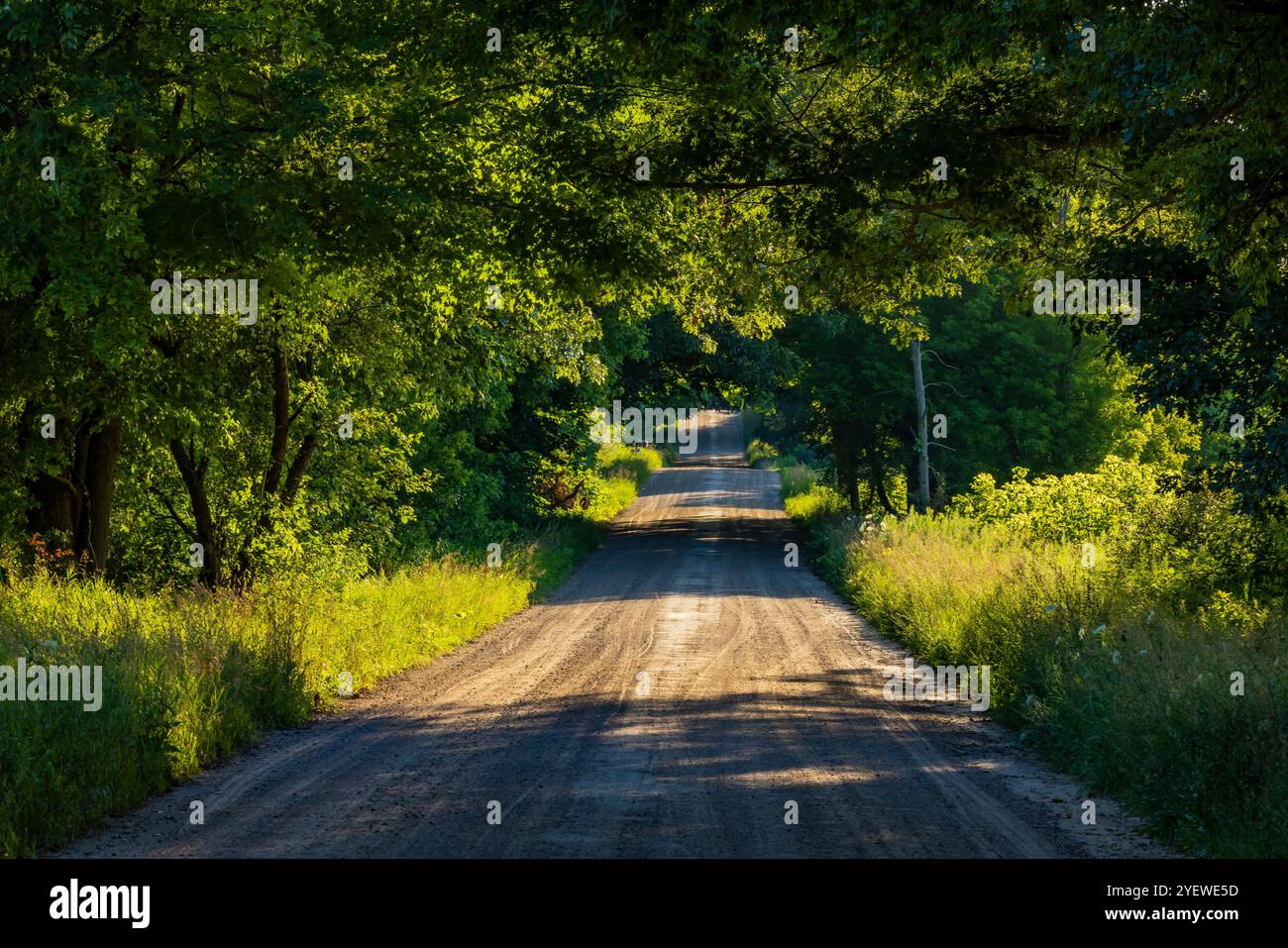 Mecosta country hi-res stock photography and images - Alamy