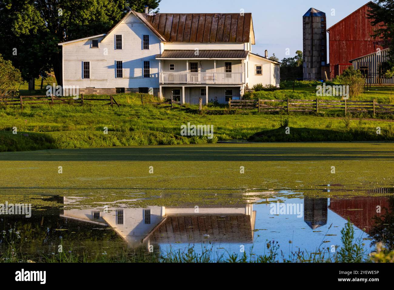 Amish farmhouse and barn rellecting in a pond in Mecosta County ...