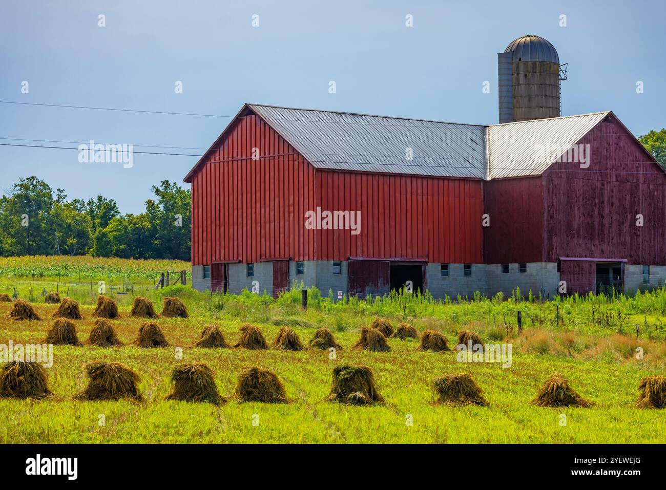 Wheat crop michigan hi-res stock photography and images - Alamy