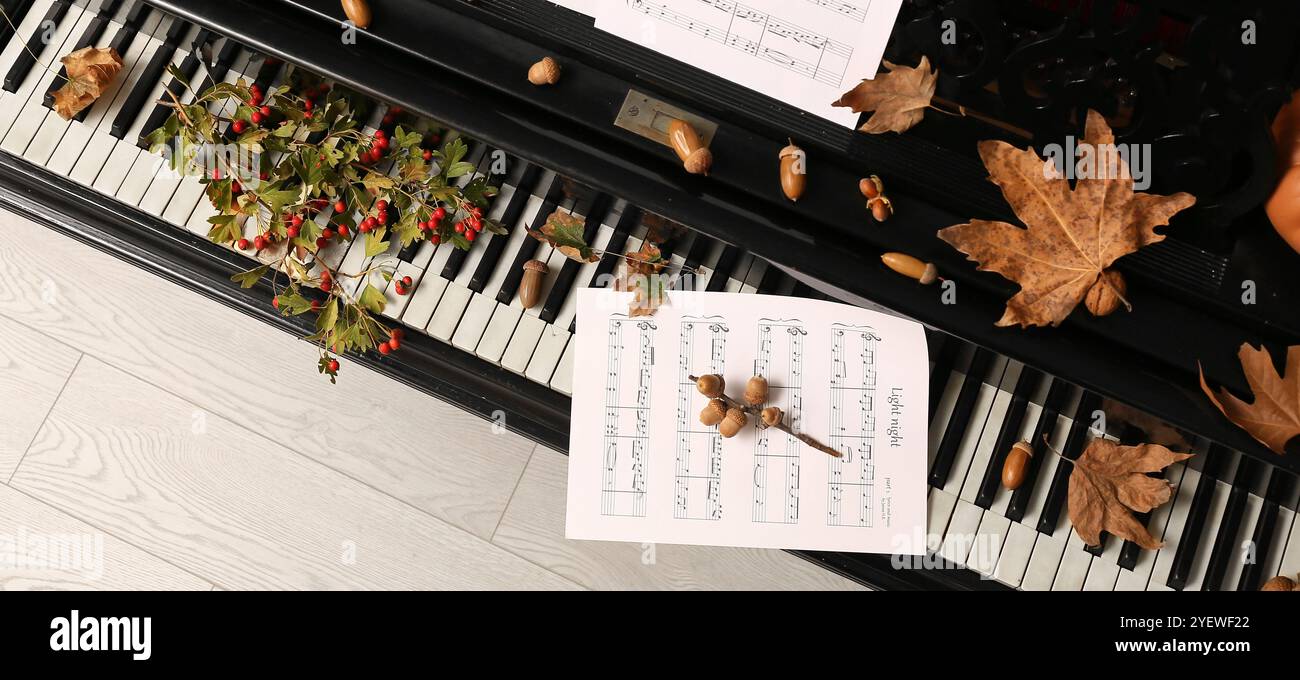 Autumn leaves, berries and note sheets on grand piano, top view Stock ...
