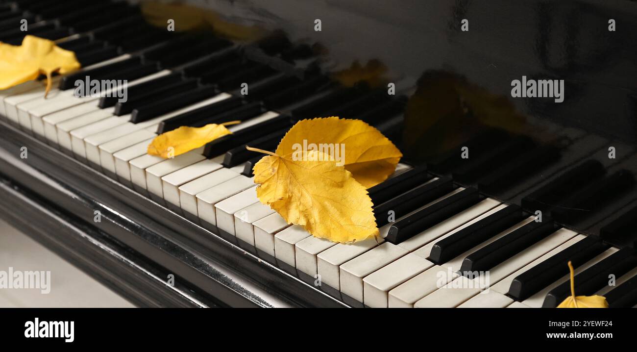 Autumn leaves on grand piano keys, closeup Stock Photo - Alamy
