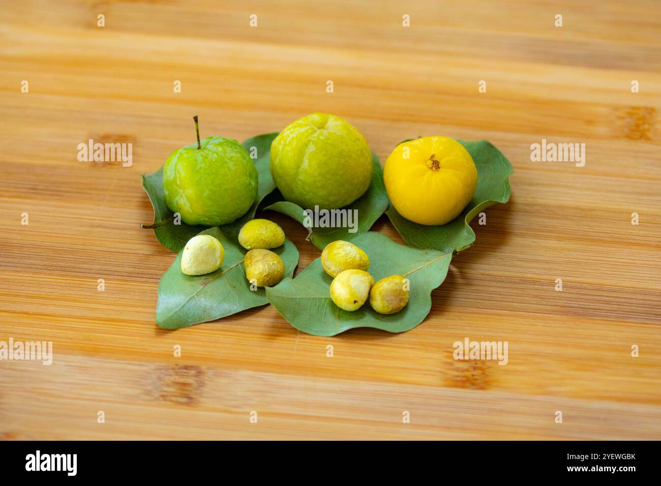 Ripe edible wild fruit from the Brazilian cerrado biome, fruit known as ...