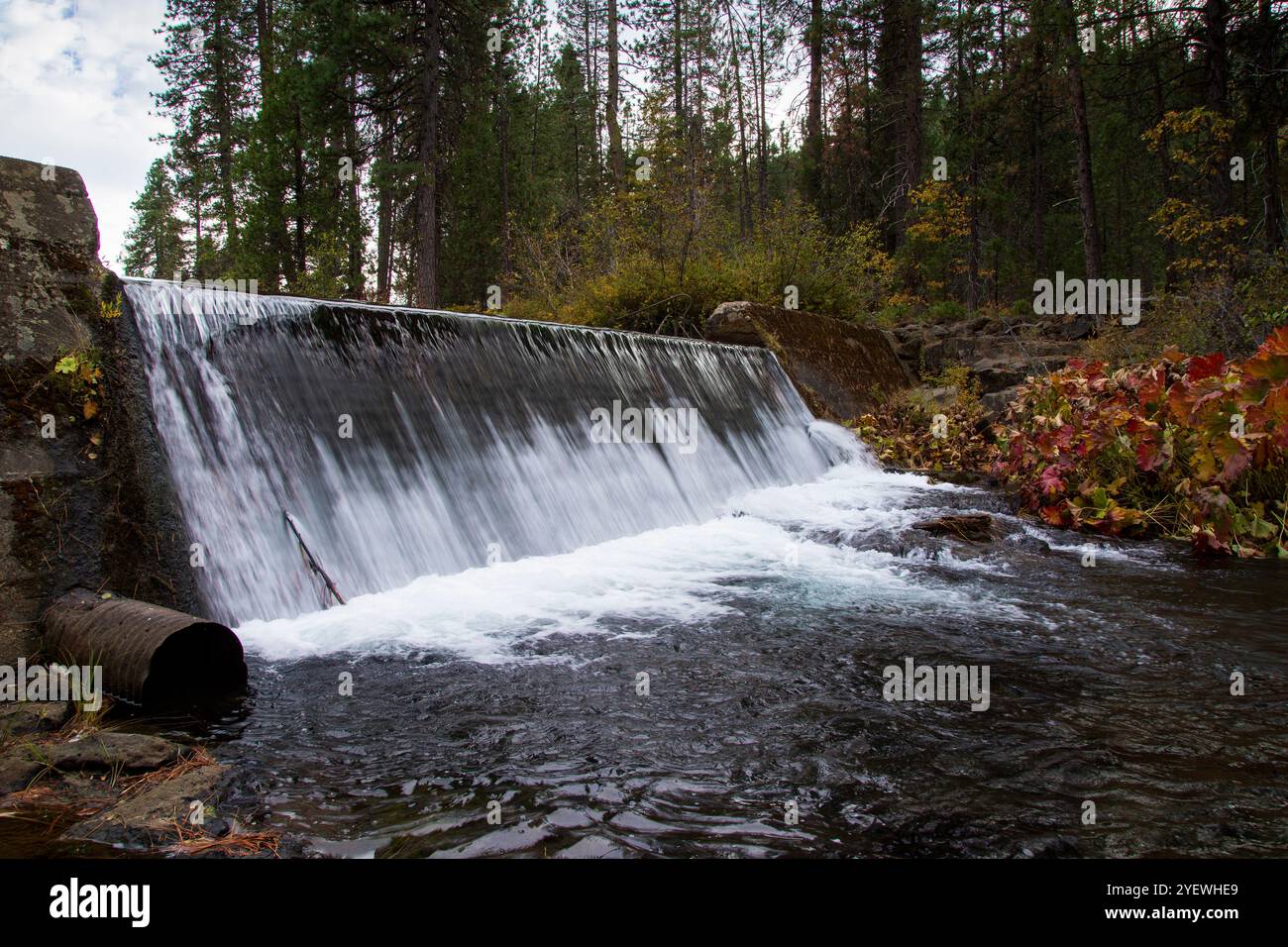 Lakin Dam near McCloud California, built in 1925 for domestic water ...