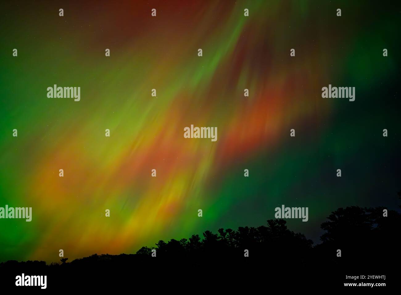 Vibrant red and green auroras (Northern Lights) paint the night sky ...