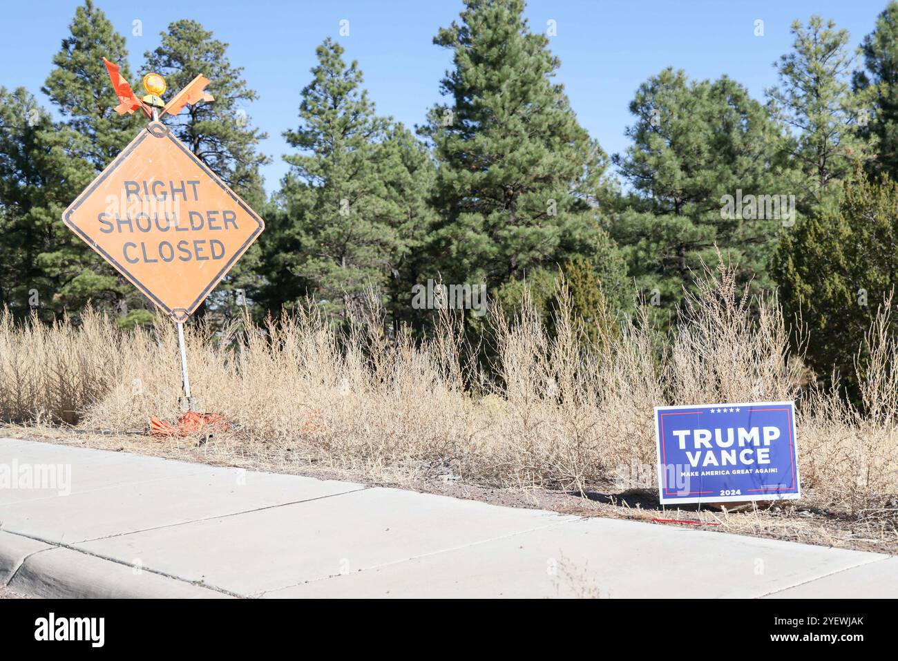 Payson, USA. 30th Oct, 2024. Political signs for the November 5th ...