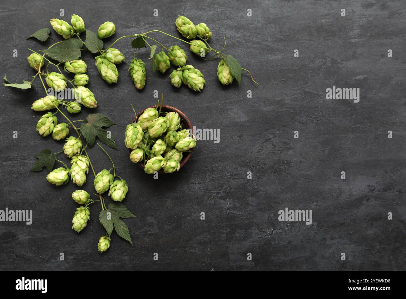 Green hops cones on black background Stock Photo - Alamy