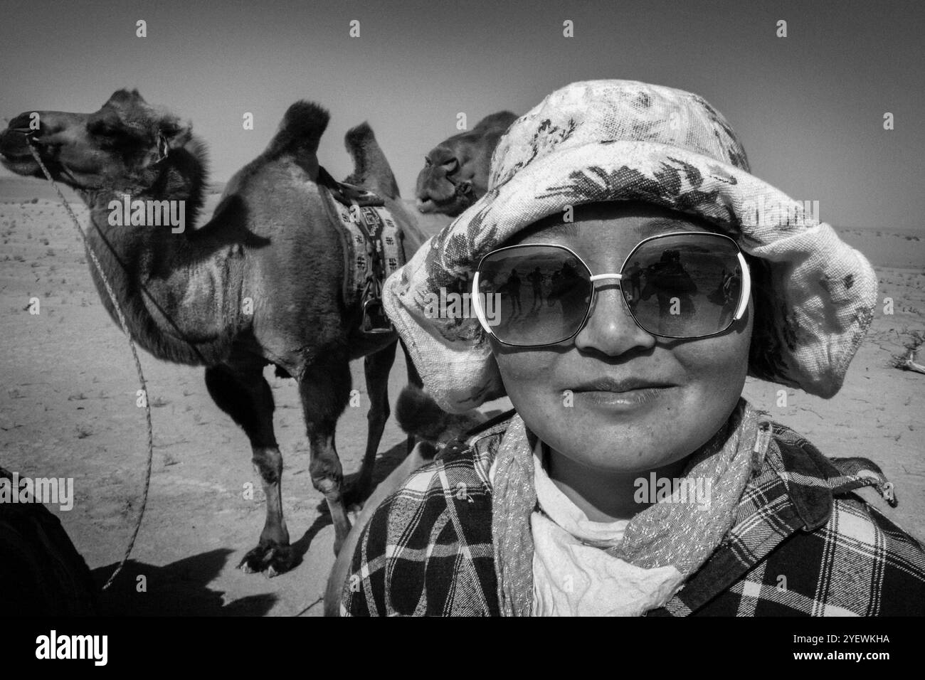 Isolated desert camel hi-res stock photography and images - Alamy