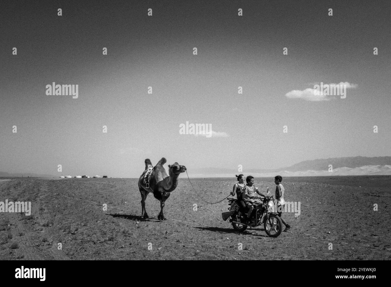 Traditional desert life Black and White Stock Photos & Images - Alamy