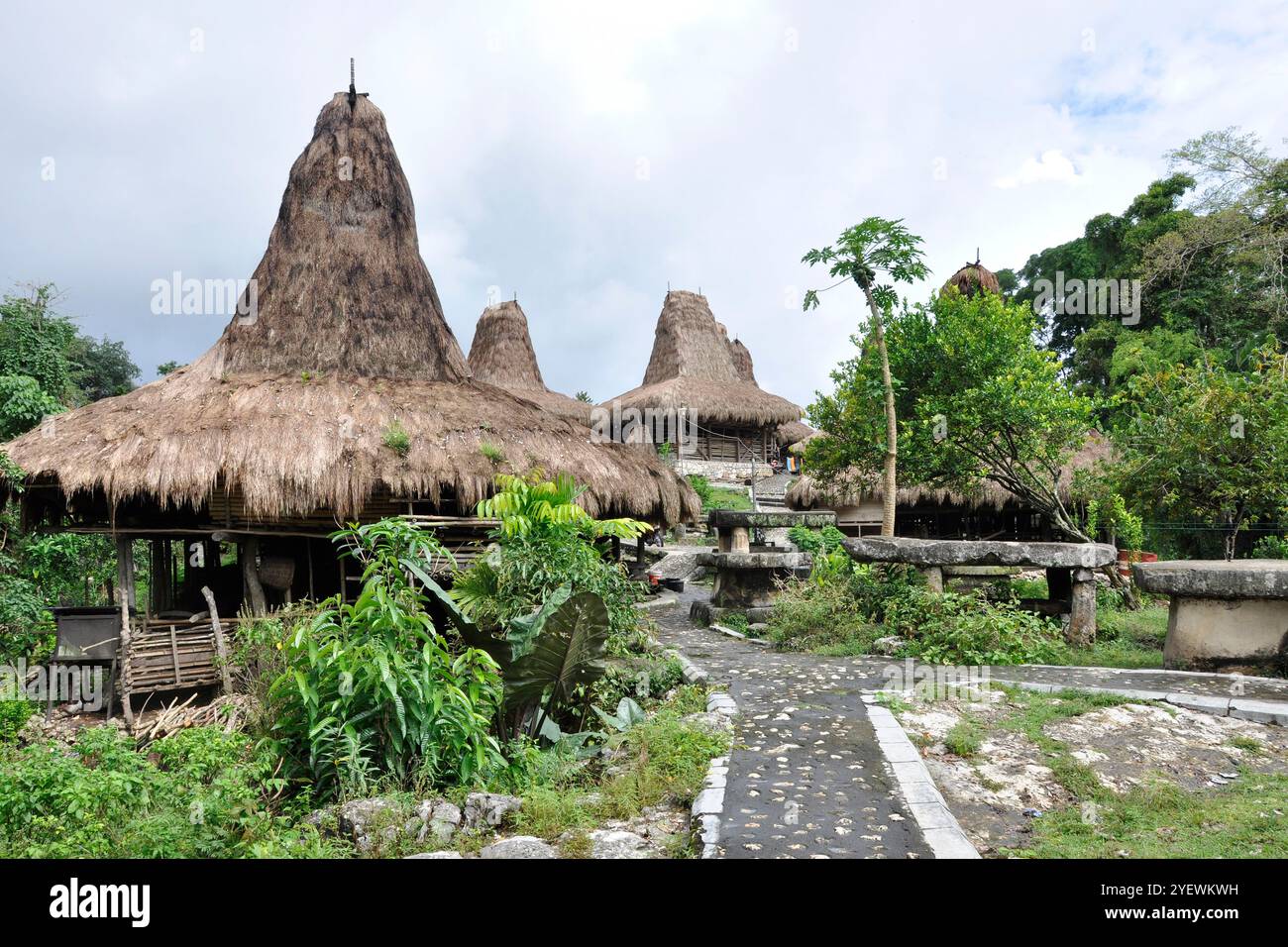 Indonesia. Sumba Island. Tarung Village Stock Photo - Alamy