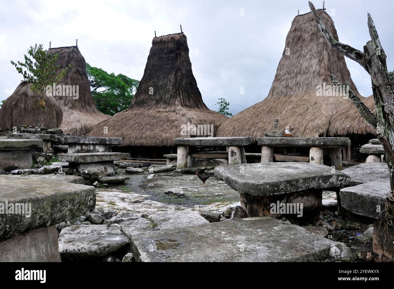 Indonesia sumba island traditional house hi-res stock photography and ...