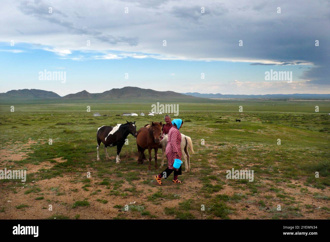 Daily Life. Milking. Mongolian Nomads. Mongolia Stock Photo - Alamy
