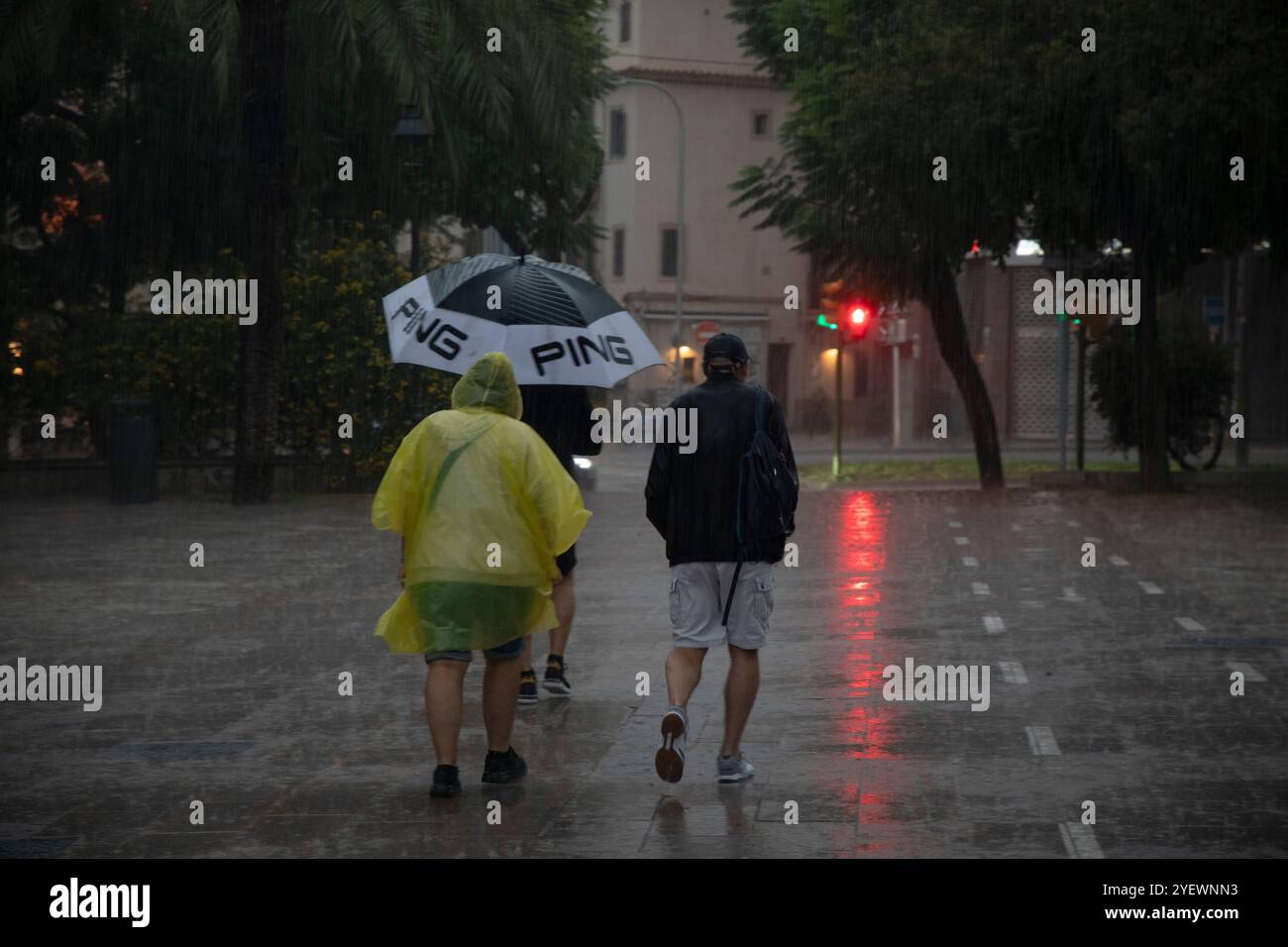 Palma, Spain. 01st Nov, 2024. Passers-by walk through the rain. Due to ...