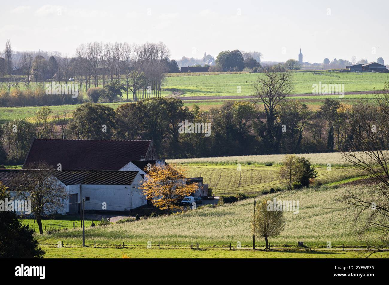 Autumn nature landscape with green hills and shadows at the ...