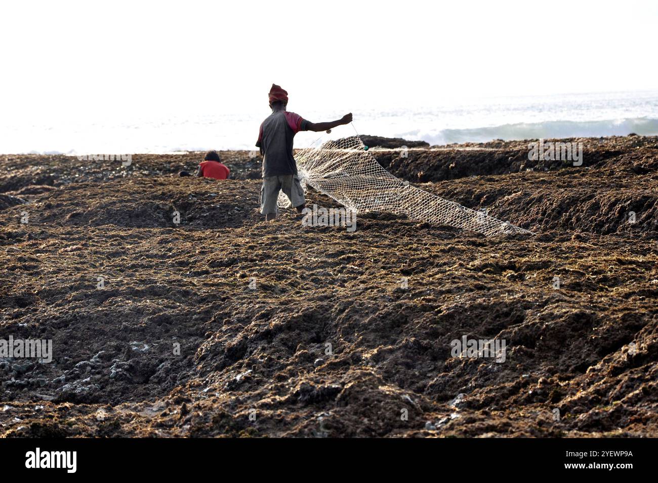 Indonesia. Sumba Island. Pero Beach. Workers Stock Photo - Alamy