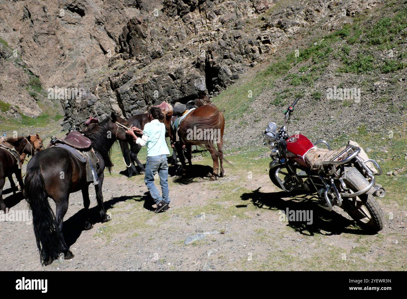 Horse Trekking. Yol Valley. Gobi Desert. Mongolia Stock Photo - Alamy