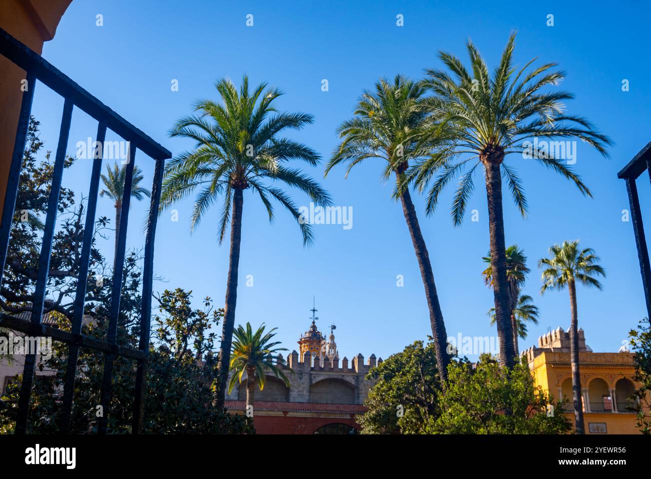 Beautiful green public park with large palm trees, unusual shapes and ...