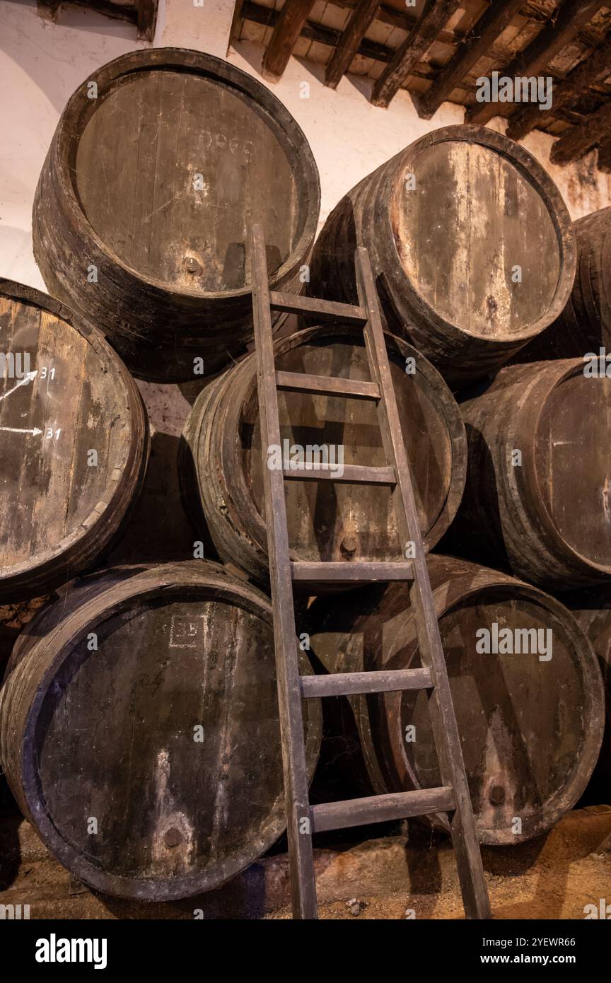 Solera systems in old Andalusian wine cellar, process for aging sherry ...