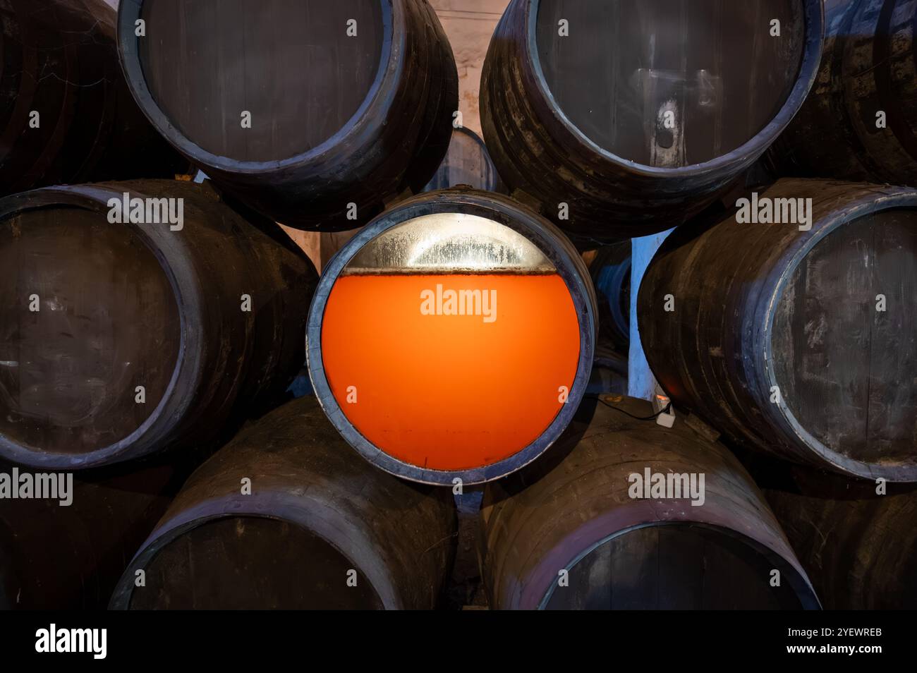 Flor, film of yeast in solera systems in old Andalusian wine cellar ...