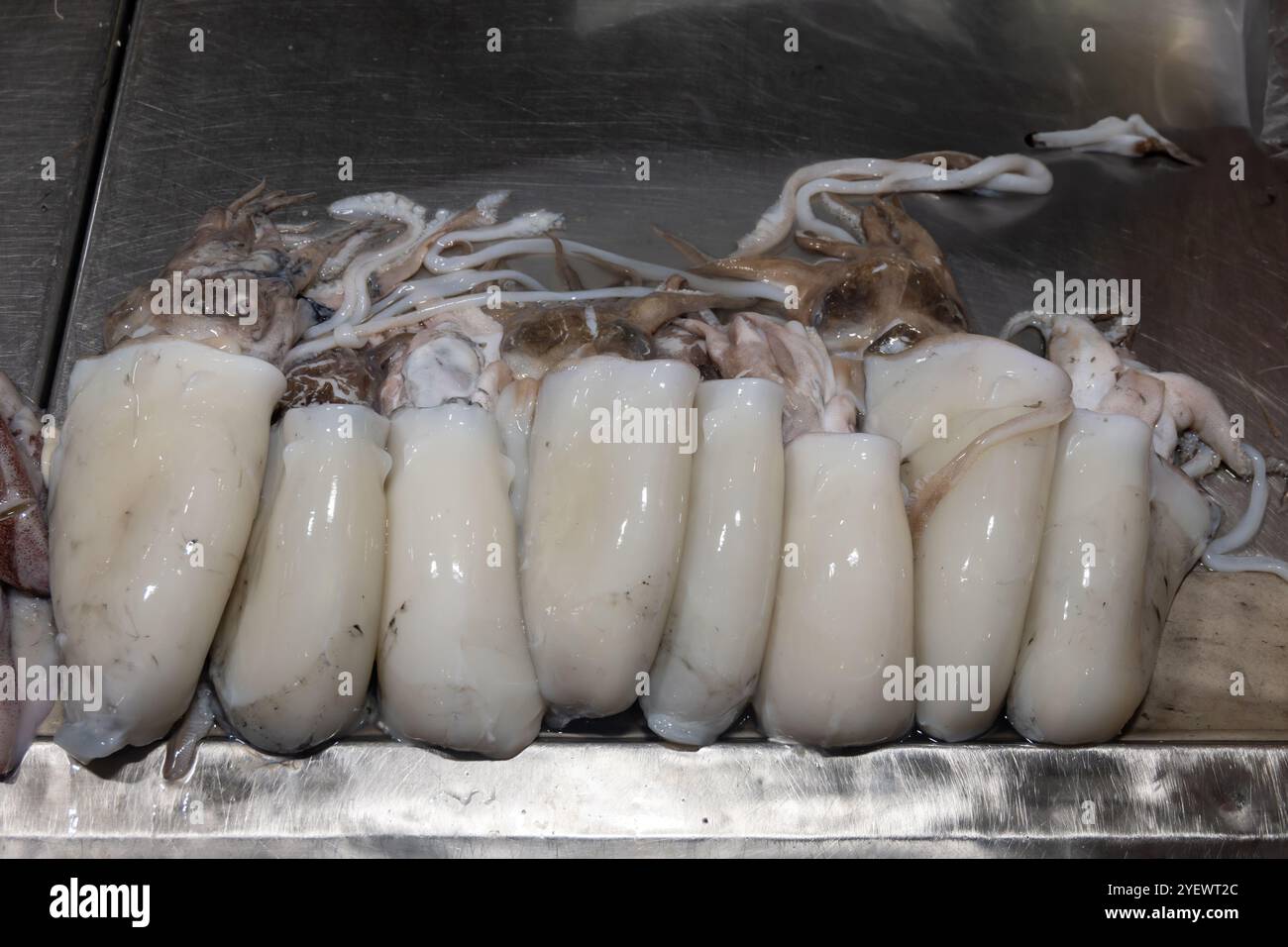 Assortment of fresh ocean daily catch of white Spanish chocos ...