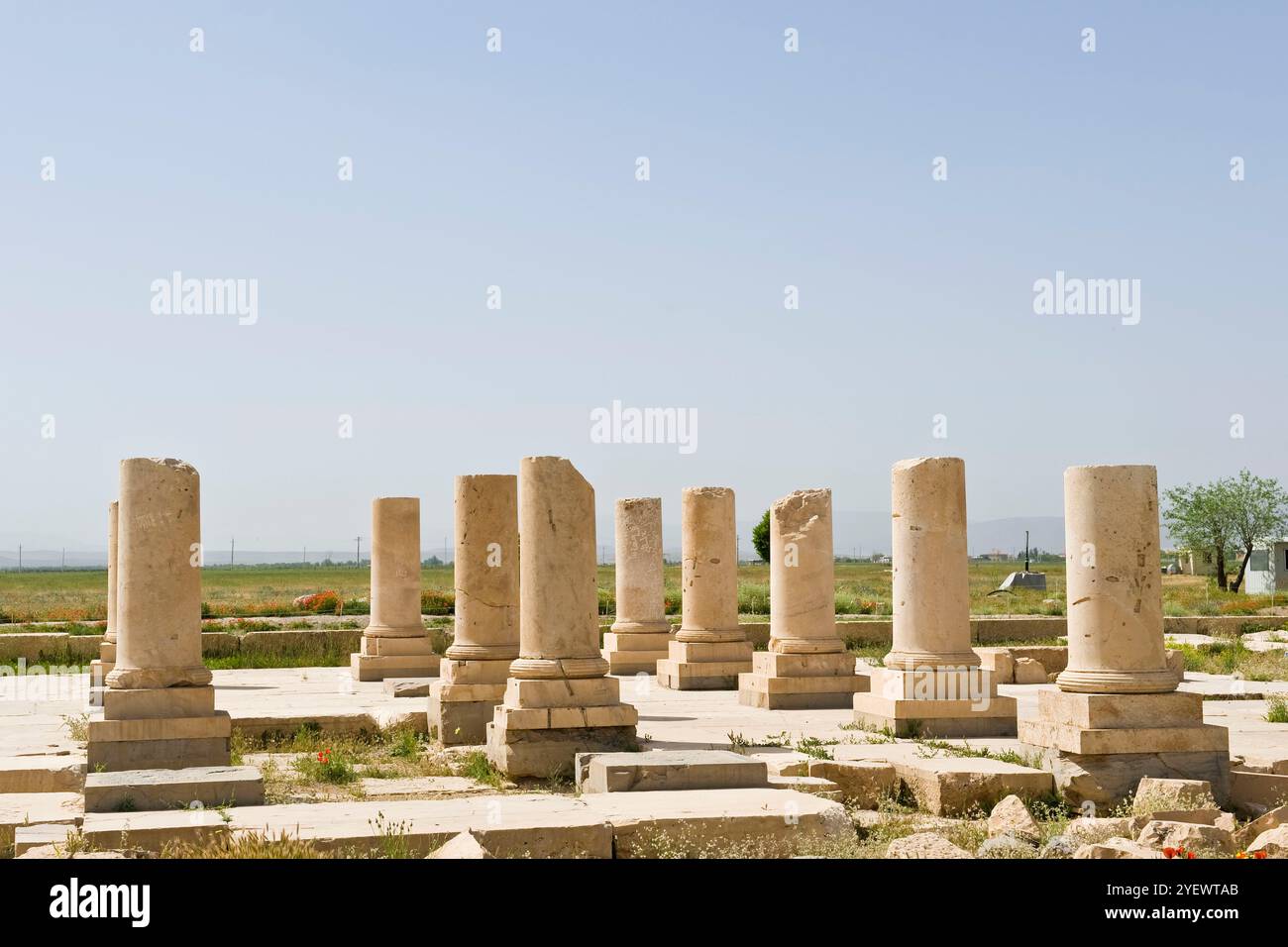 Iran. Pasargad Archaeological Site Stock Photo - Alamy