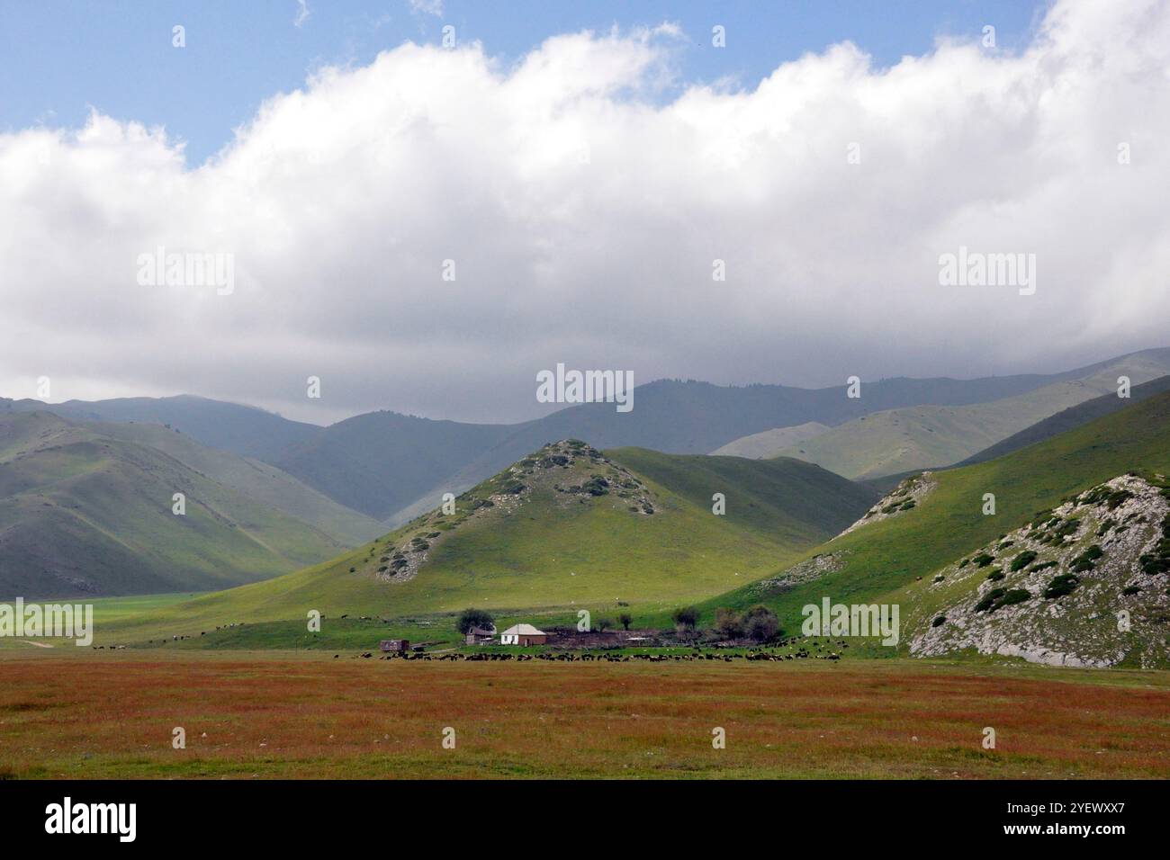 Kyrgyzstan. Karkara Valley Stock Photo - Alamy