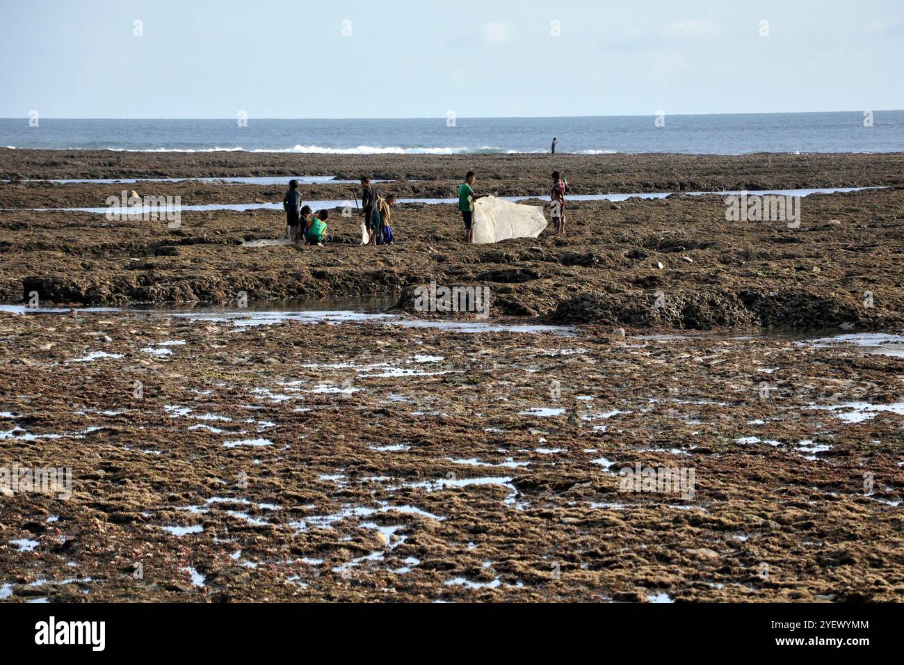 Indonesia. Sumba Island. Pero Beach. Workers Stock Photo - Alamy