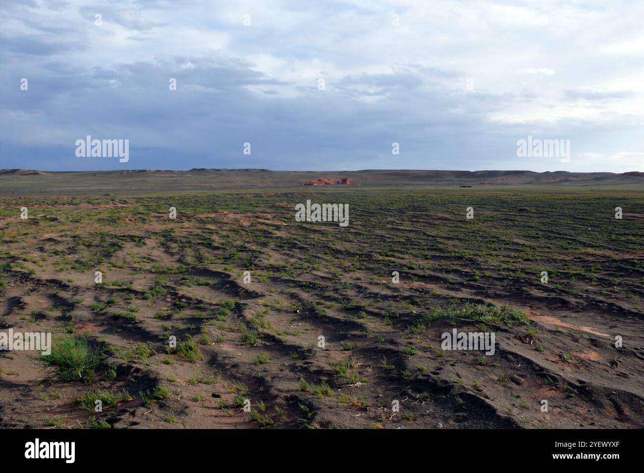 Bayanzag. Gobi Desert. Mongolia Stock Photo - Alamy