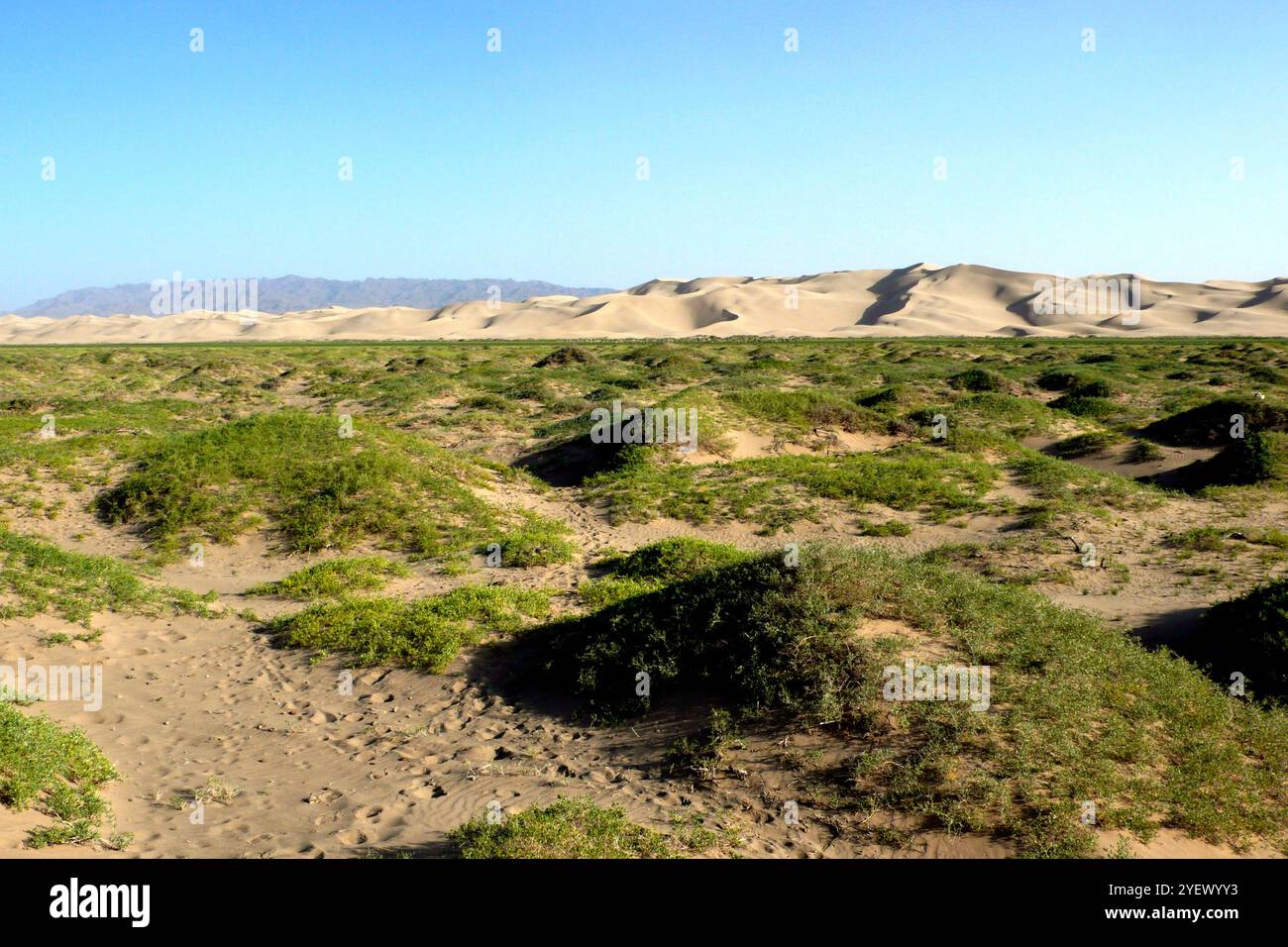 Landscape. Gobi Desert. Mongolia Stock Photo - Alamy