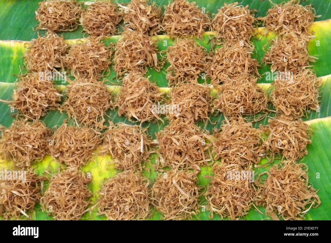 Dried Fish. Local Market. Luang Prabang. Laos Stock Photo - Alamy