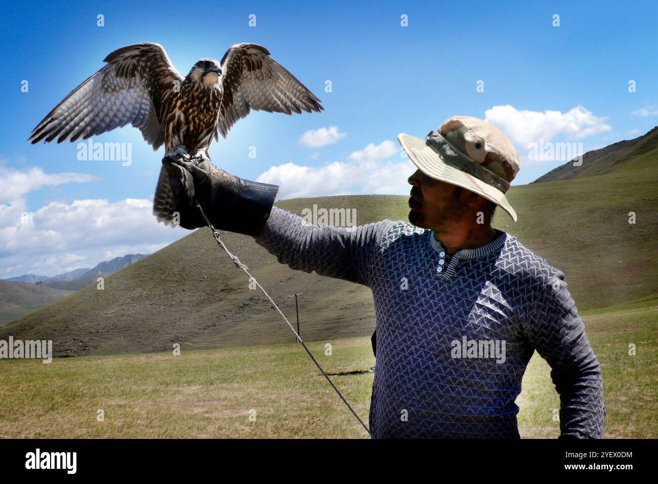 Hawk eagle tourism travel hi-res stock photography and images - Alamy