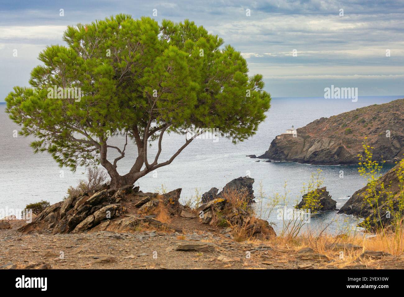 Cala nans cadaques hi-res stock photography and images - Alamy