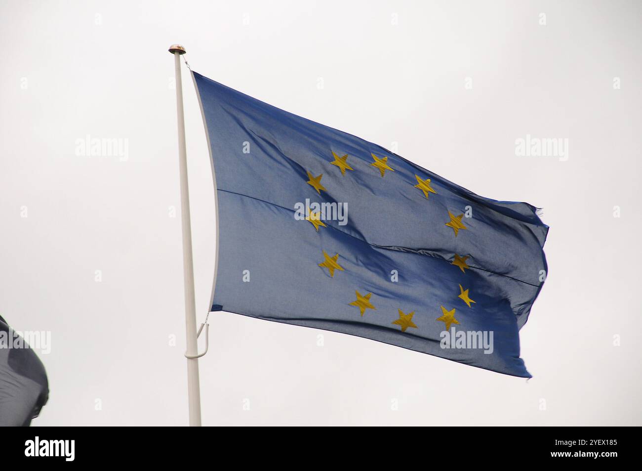 Copenhagen/ DenmarK/01 November 2024/Danish flag dannebrog and eu flag ...