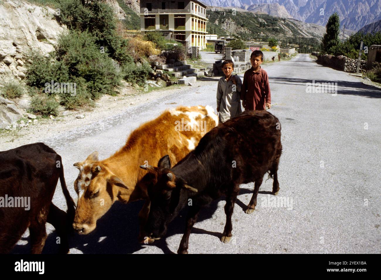 Livestock keepers hi-res stock photography and images - Alamy