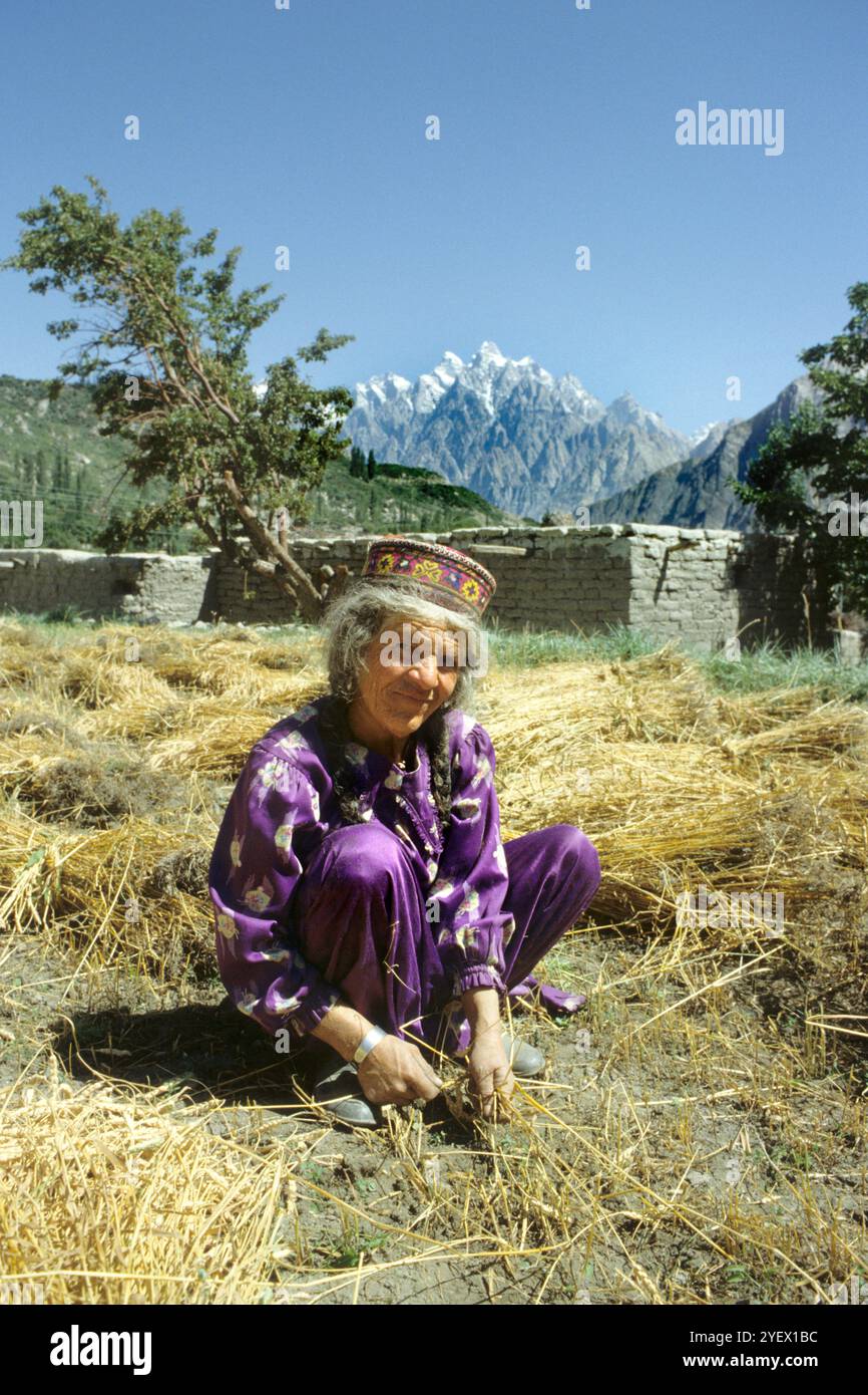 Hunza, Hunza Woman At Work In A Wheat Field Stock Photo - Alamy