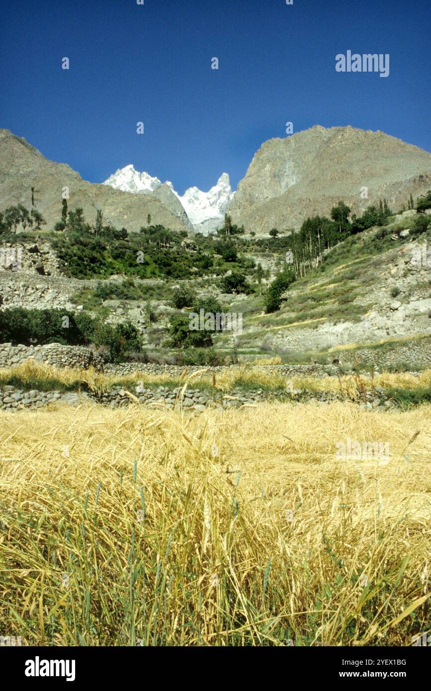 View of the Upper Hunza Valley Stock Photo - Alamy
