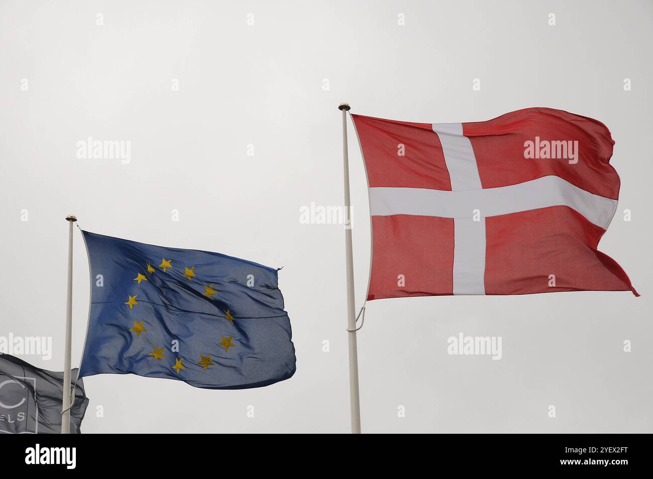 Copenhagen/ DenmarK/01 November 2024/Danish flag dannebrog and eu flag ...